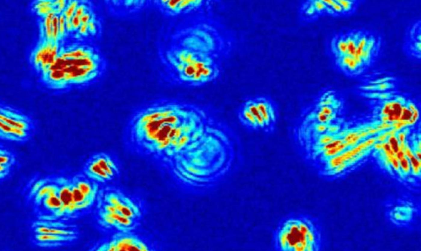 VUB sports activities: fitness, sports and games | Vrije Universiteit ...