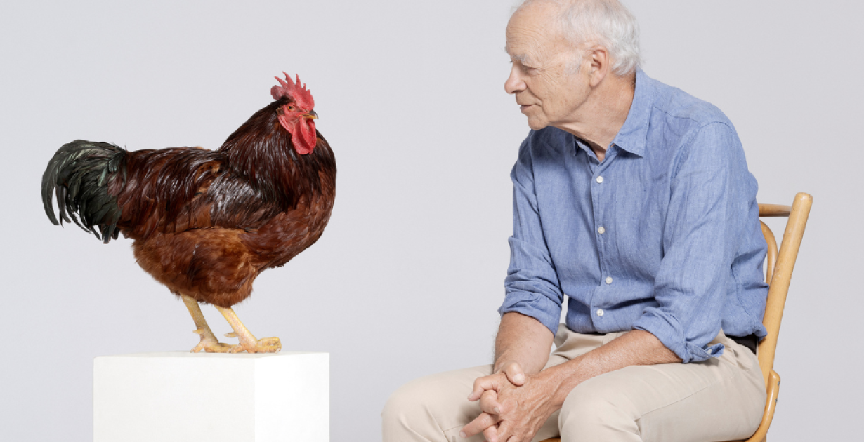 Animal Liberation, Fifty Years On | Lezing met wereldvermaard denker ...